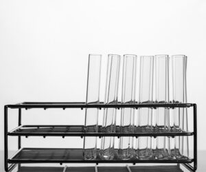 Step-by-Step: Setting Up a Culture Plate, Best Practices for Handling ...