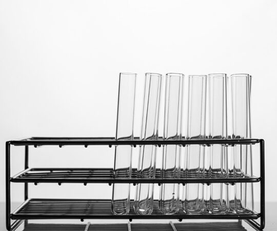 Step-by-Step: Setting Up a Culture Plate, Best Practices for Handling ...